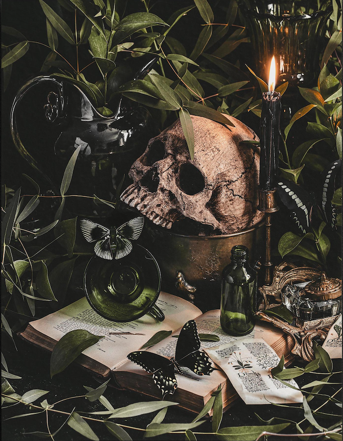 Alyssa Thorne Signature Poster Collection 8 1/2 x 11