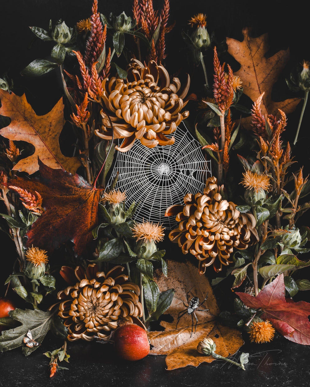 Shop the Collection: Alyssa Thorne Autumnal Prints